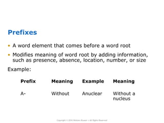 Chapter 4 powerpoint | PPT