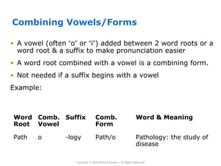 Chapter 4 powerpoint | PPT