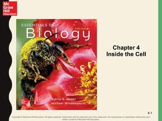 Chapter 4 Inside the Cell | PPT