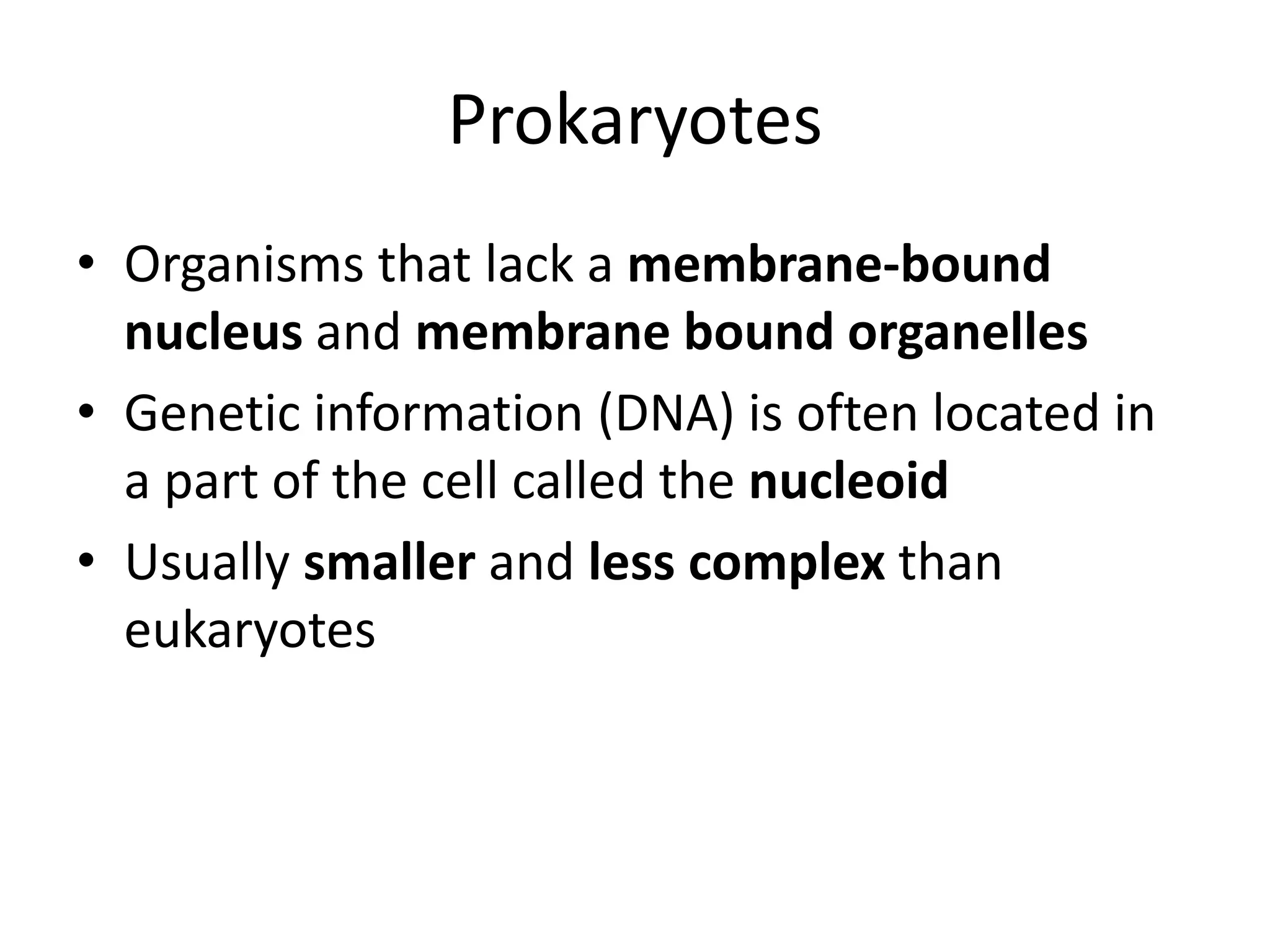 Chapter 4 ppt | PPTX
