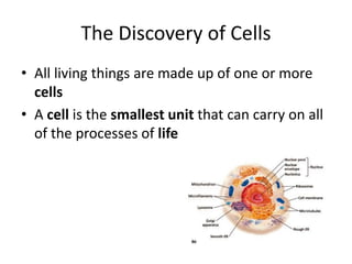 Chapter 4 ppt | PPTX