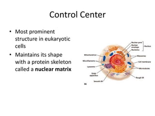 Chapter 4 ppt | PPTX
