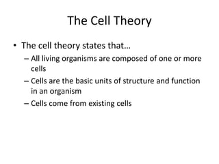 Chapter 4 ppt | PPTX