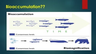 Water Pollution IGCSE Environmental Management | PPTX