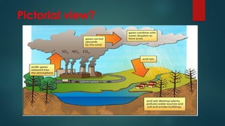 Water Pollution IGCSE Environmental Management | PPTX