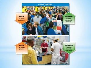 Economics: Chapter 4 | PPTX