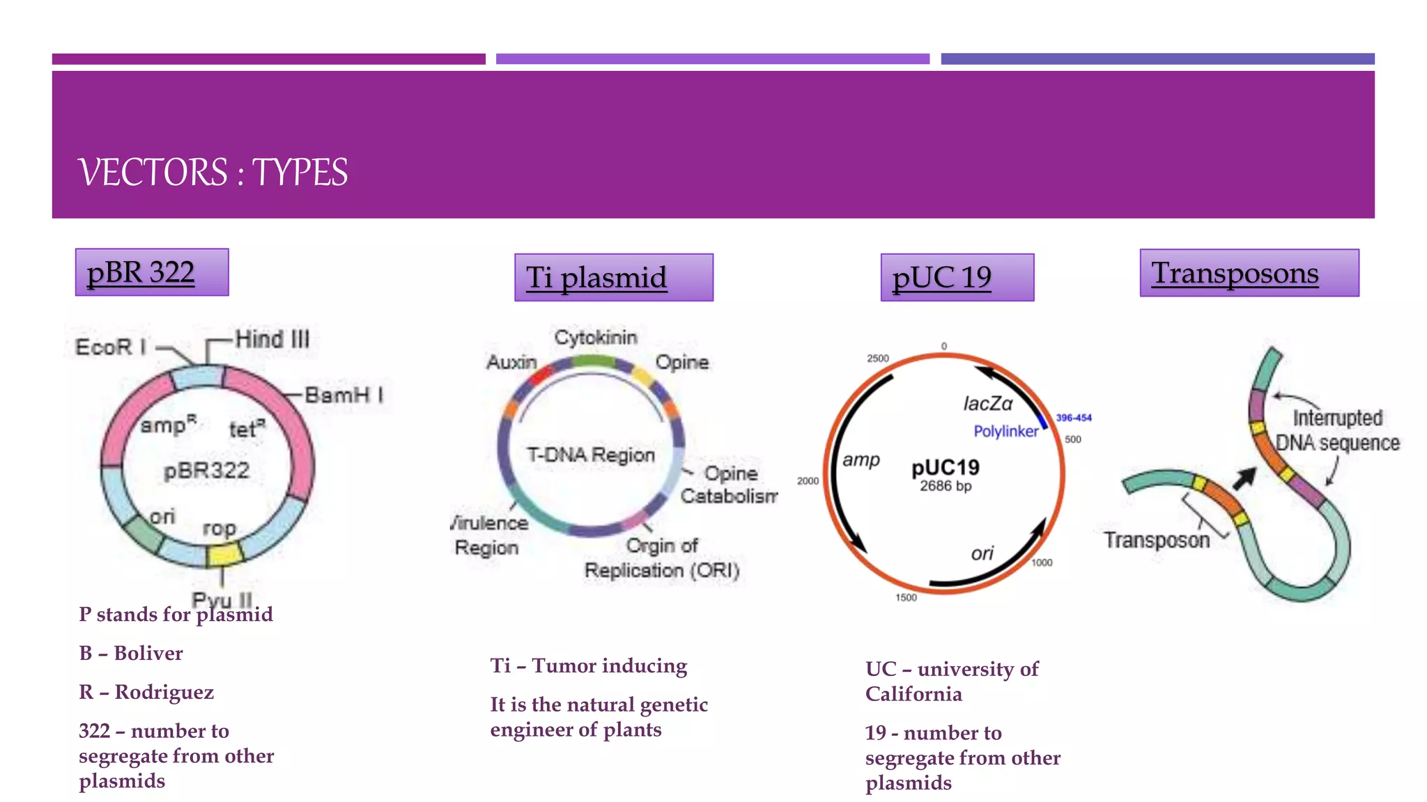 Chapter 4 principles and process of biotechnology | PPTX
