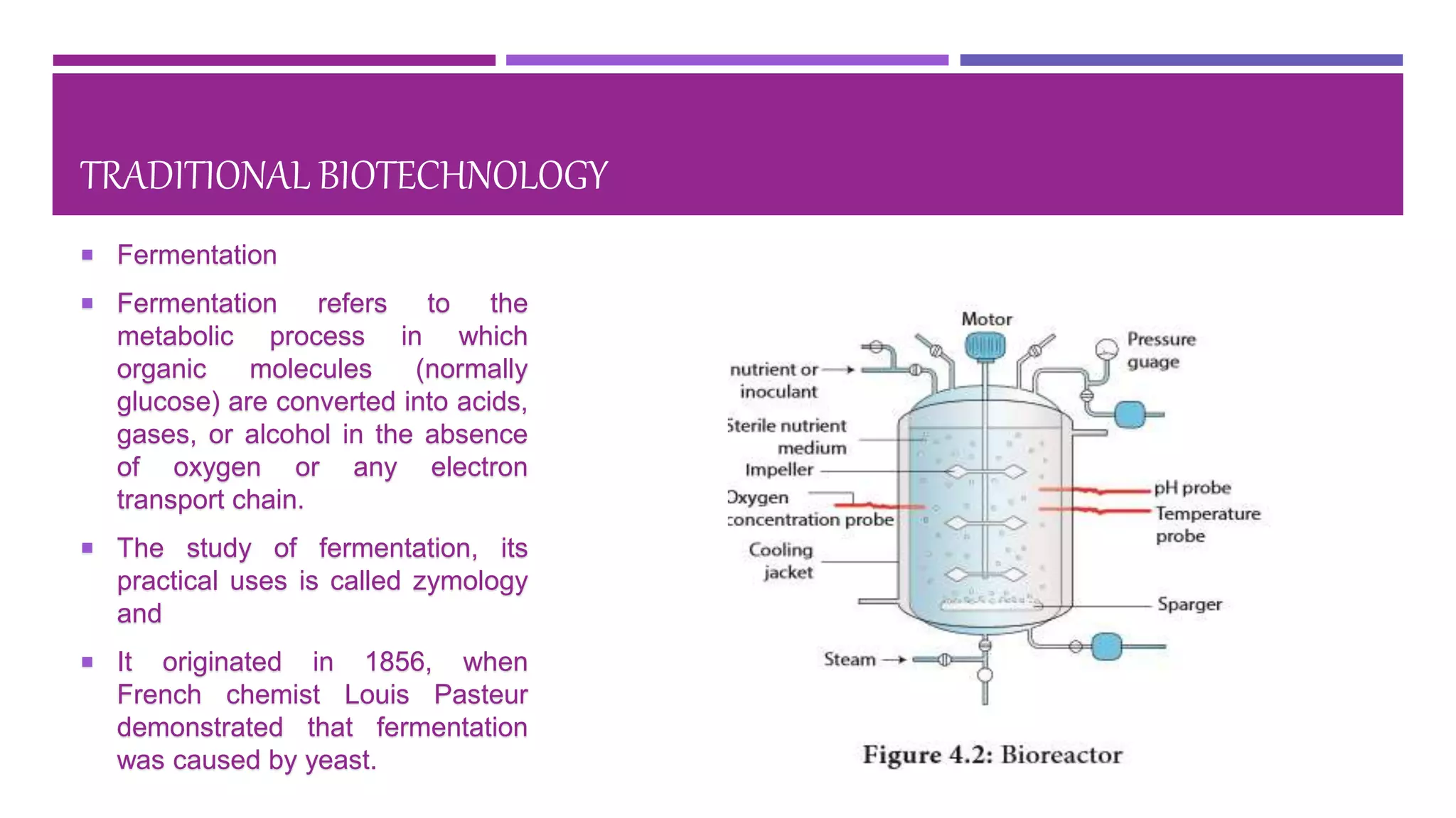 Chapter 4 principles and process of biotechnology | PPTX
