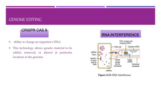 Chapter 4 principles and process of biotechnology | PPTX