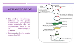 Chapter 4 principles and process of biotechnology | PPTX