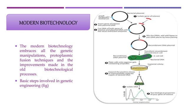 Chapter 4 principles and process of biotechnology | PPTX | Genetics ...
