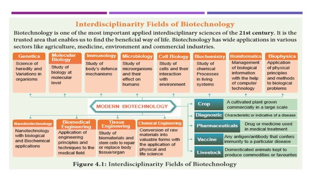 Chapter 4 principles and process of biotechnology | PPT