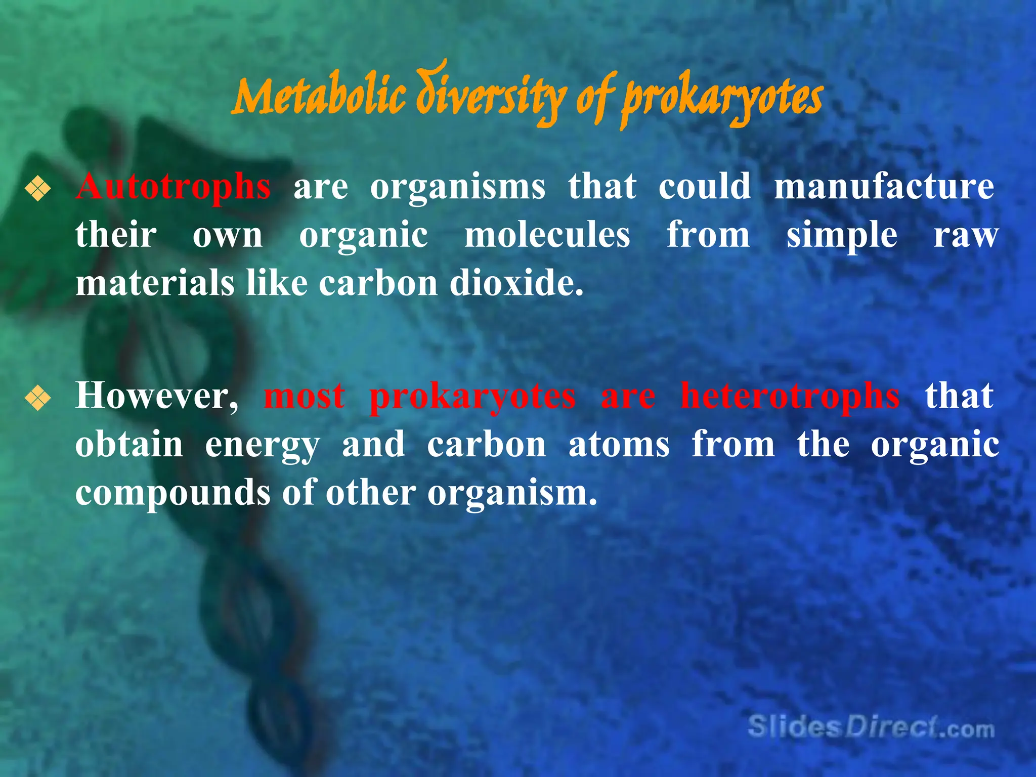 PROKARYOTES | PDF
