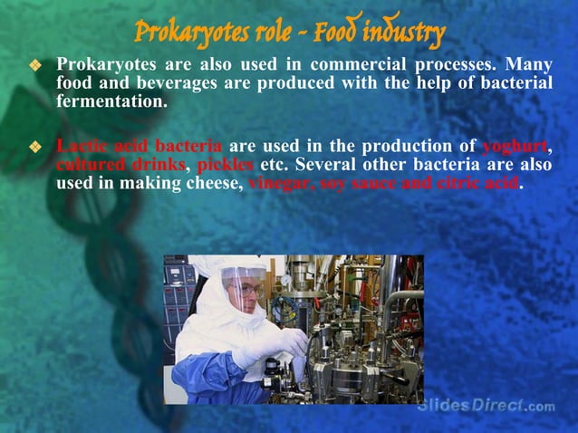 PROKARYOTES | PDF