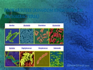 PROKARYOTES | PPT