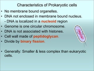 Chapter 4 prokaryotic profiles micro 1 | PPT
