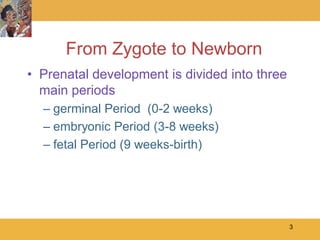 Chapter 4 (Psych 41)Pdf | PPT