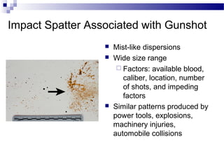 Chapter 4 pwpt | PPT | Blood Disorders | Diseases and Conditions
