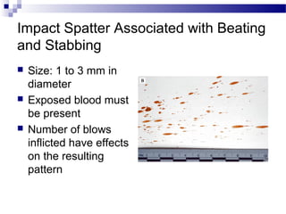 Chapter 4 pwpt | PPT | Blood Disorders | Diseases and Conditions