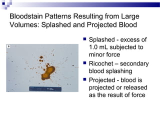 Chapter 4 pwpt | PPT | Blood Disorders | Diseases and Conditions