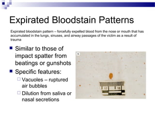Expirated Blood Pattern