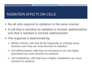 Chapter 4: Radiation Biology | PPTX