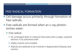 Chapter 4: Radiation Biology | PPTX
