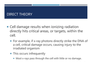 Chapter 4: Radiation Biology | PPTX