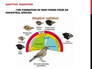Biological Science Chapter 4 | PPTX | Geology | Science