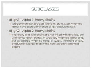 Antibody Structure and Function | PPTX