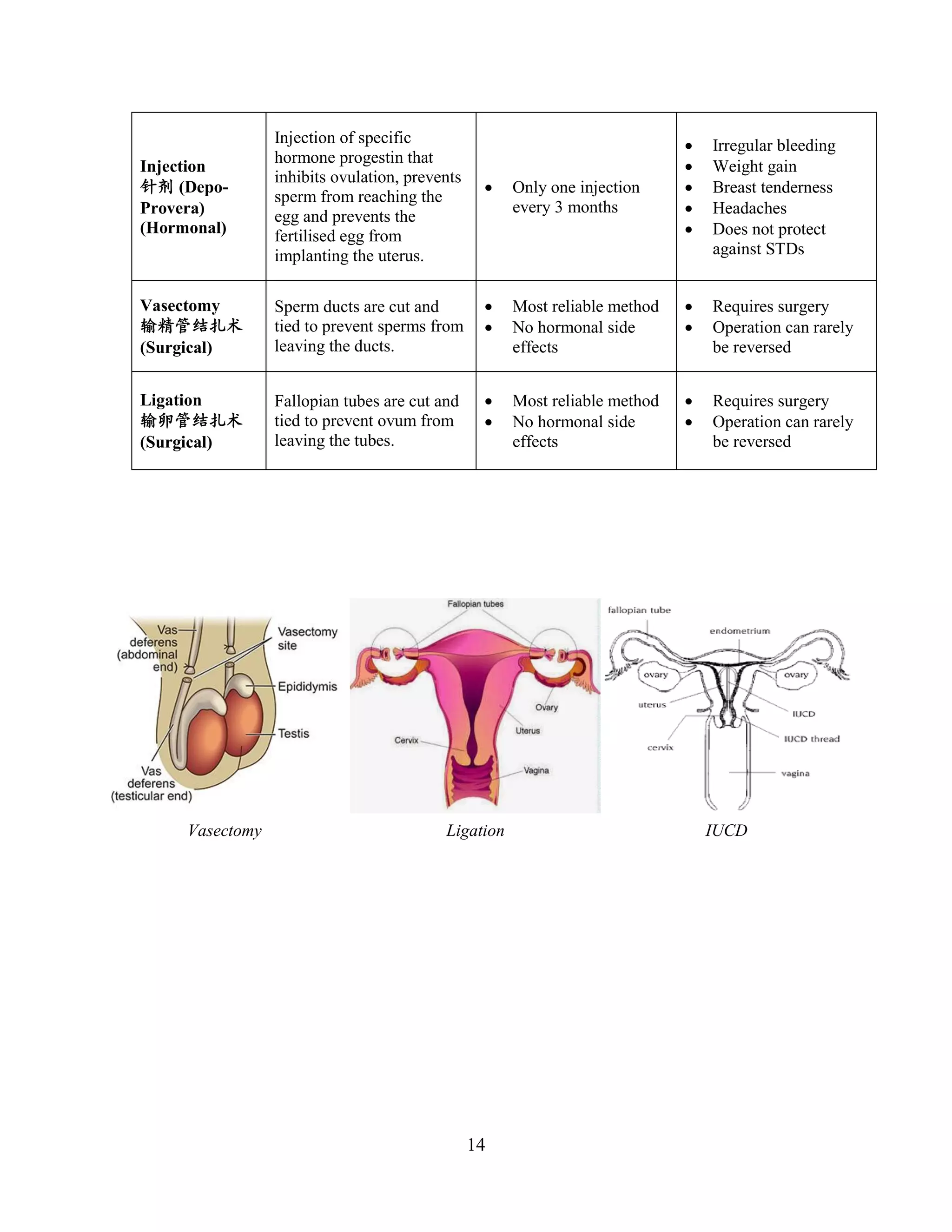 Chapter 4 Reproduction | PDF