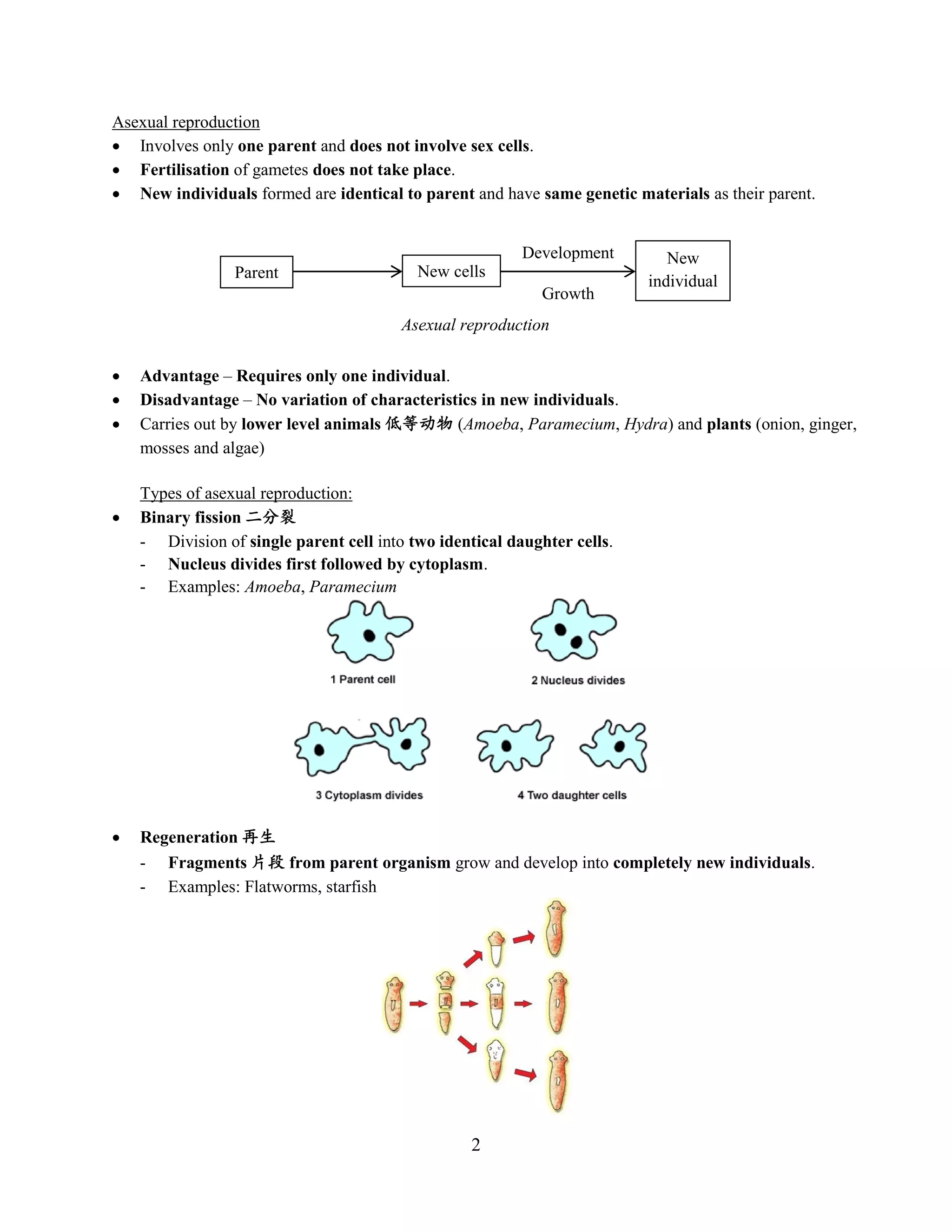Chapter 4 Reproduction | PDF