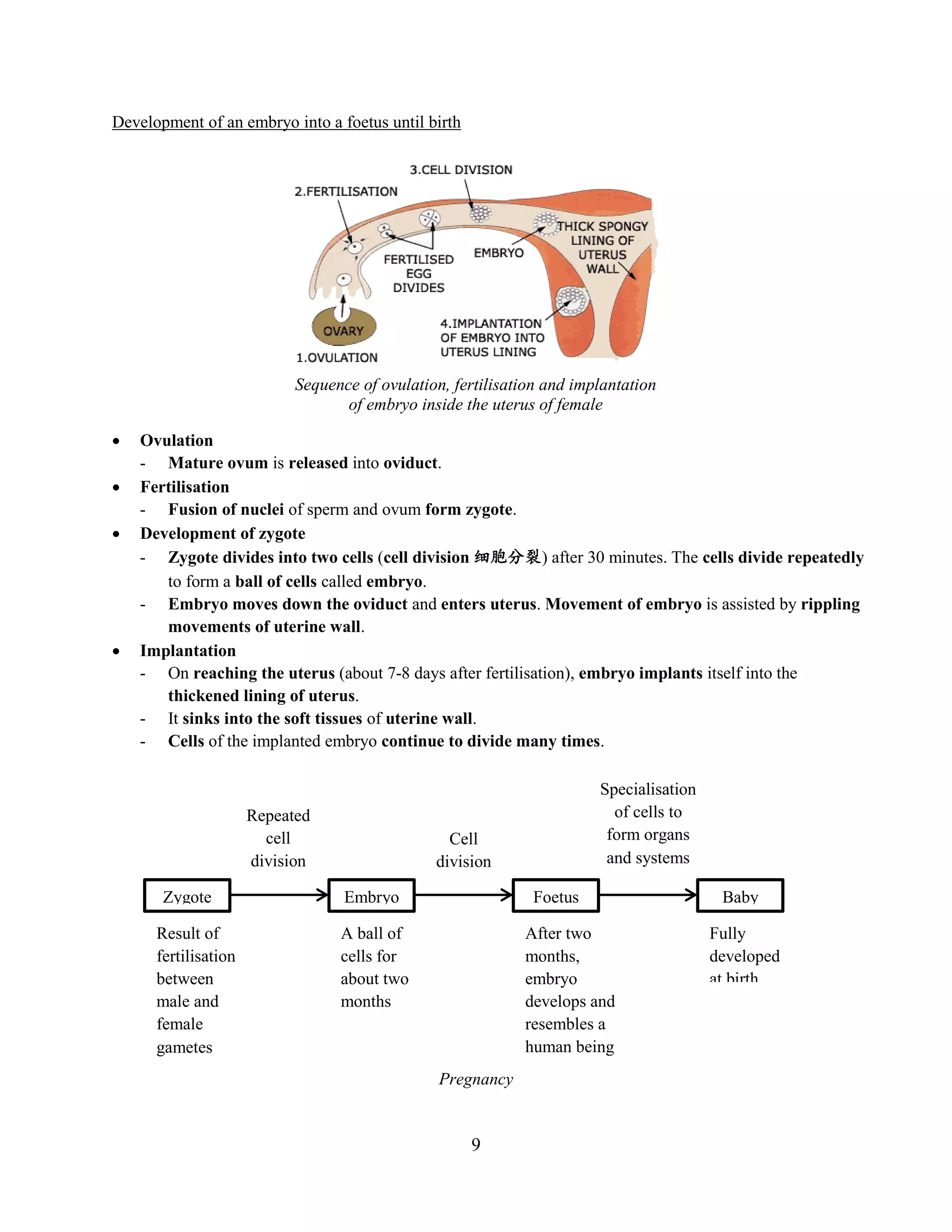 Chapter 4 Reproduction | PDF