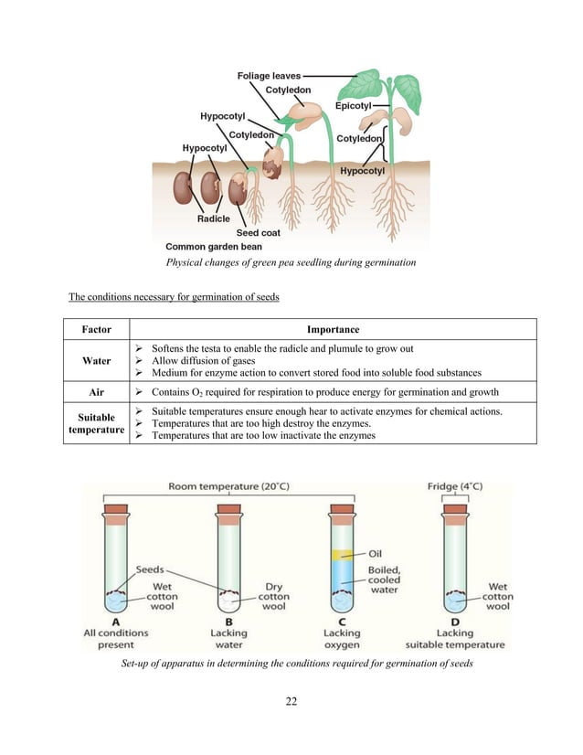 Chapter 4 Reproduction | PDF | Infertility | Reproductive Health