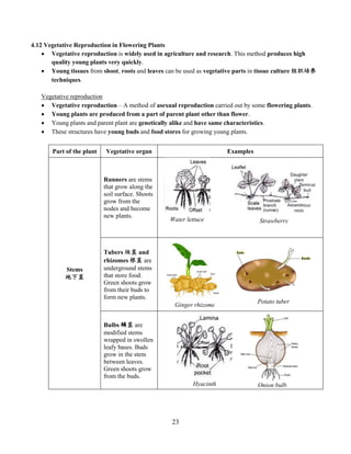 Chapter 4 Reproduction | PDF