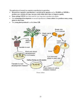 Chapter 4 Reproduction | PDF