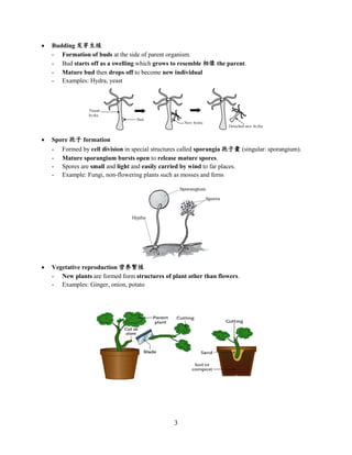Chapter 4 Reproduction | PDF