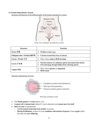 Chapter 4 Reproduction | PDF