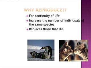 Form 3 Science Chapter 4 Reproduction 2 | PPTX