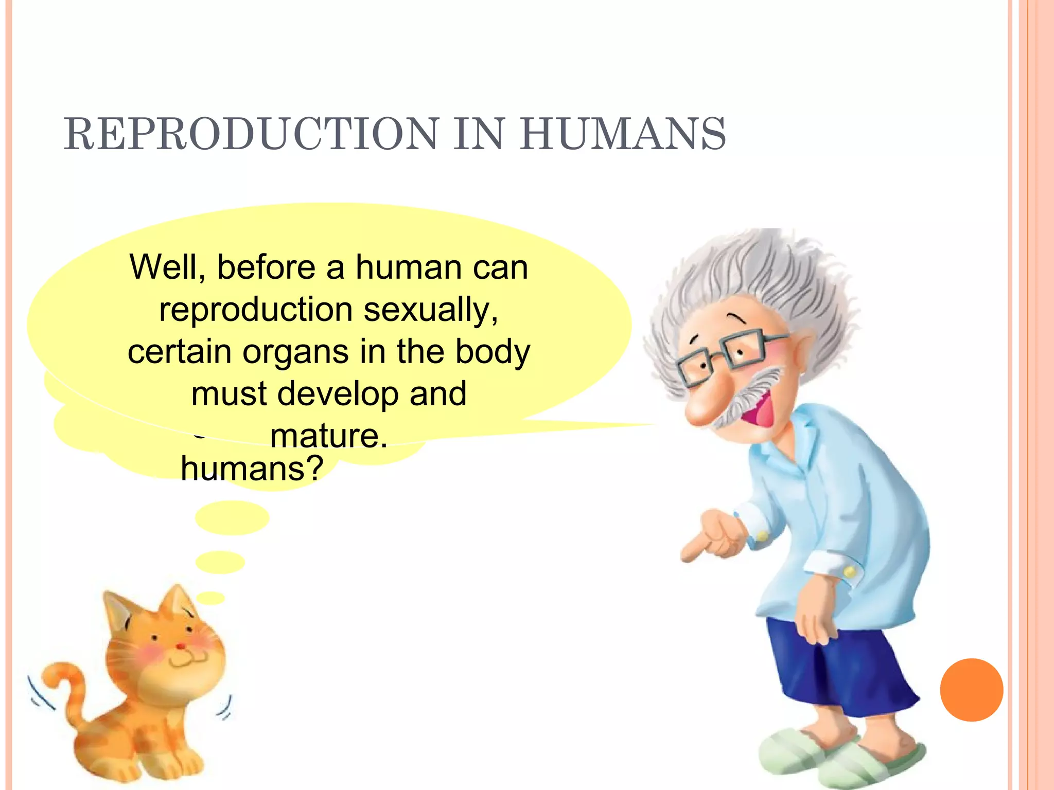 Form 3 Science Chapter 4 Reproductive System and fertilisation | PPT