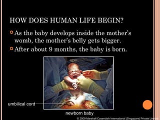 Form 3 Science Chapter 4 Reproductive System and fertilisation | PPT