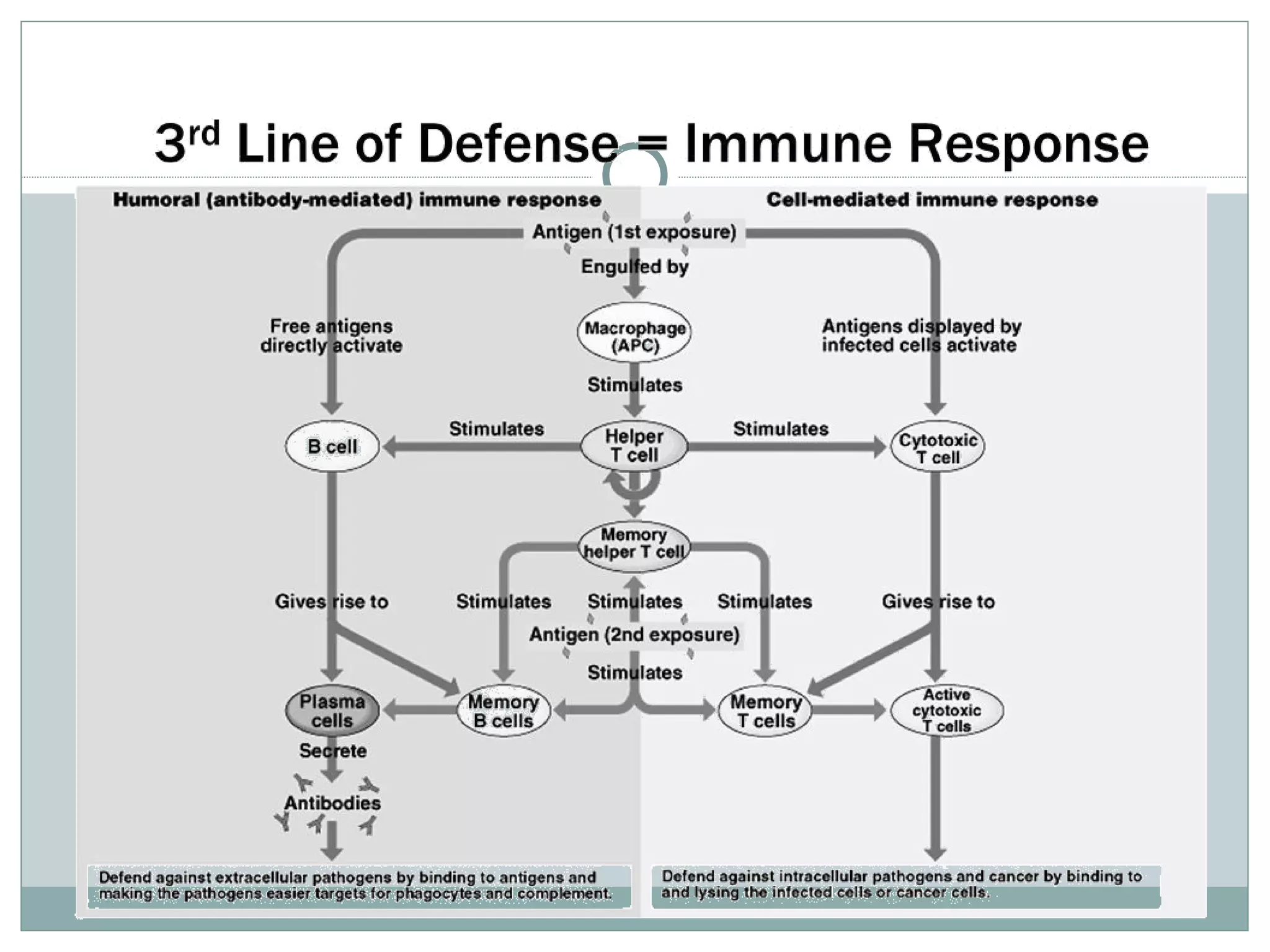 Chapter 4 science FORM 2 KSSM | PPT