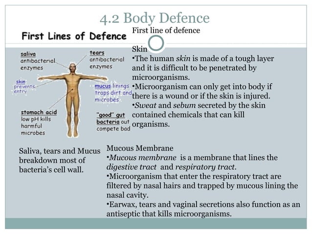 Chapter 4 science FORM 2 KSSM | PPT