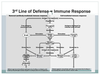 Chapter 4 science FORM 2 KSSM | PPT