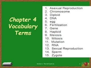 Chapter 4 section 1 (cell divsion and mitosis) | PPT