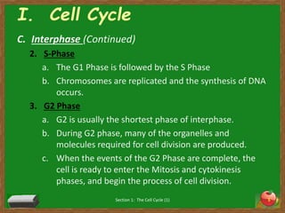 Chapter 4 section 1 (cell divsion and mitosis) | PPT