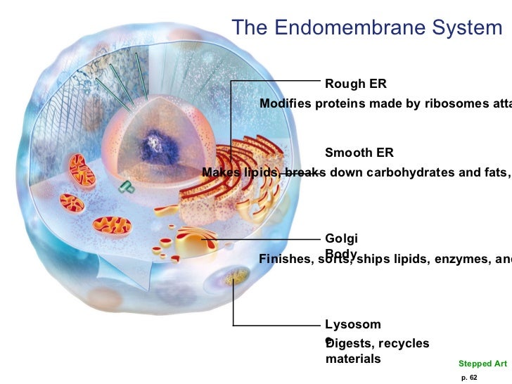 Chapter4 sections+8 13