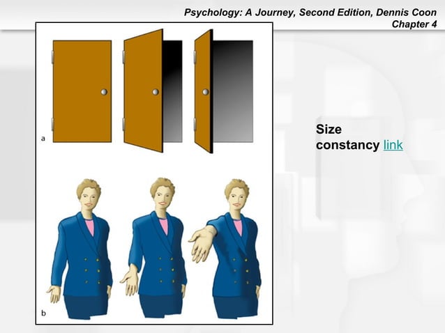 Chapter4_Sensation_and_Perception.ppt in psycholology | PPT