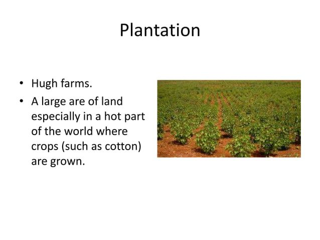 Chapter 4 – social studies grade 5 | PPTX