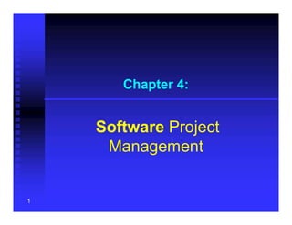 Software Project Management | PDF